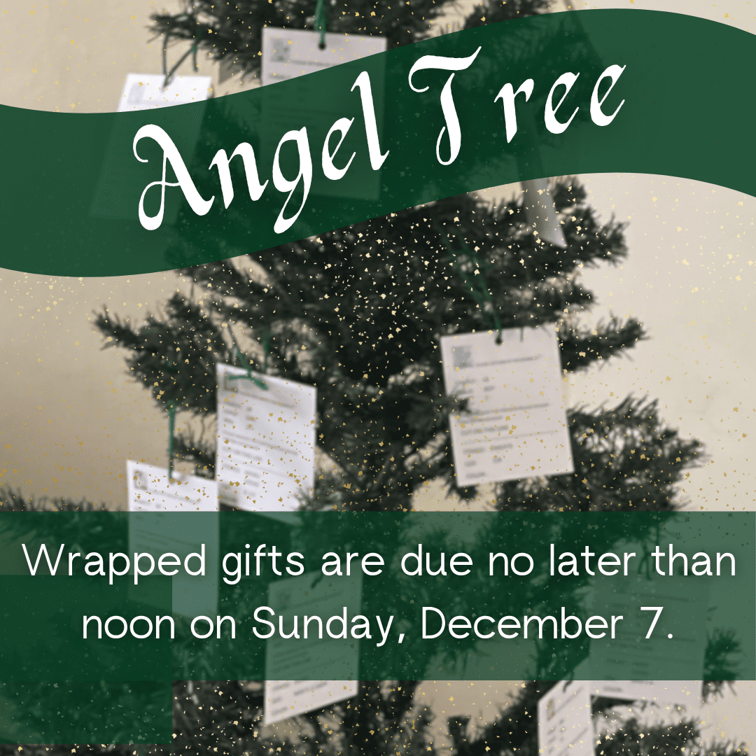 Angel Tree – Divine Mercy