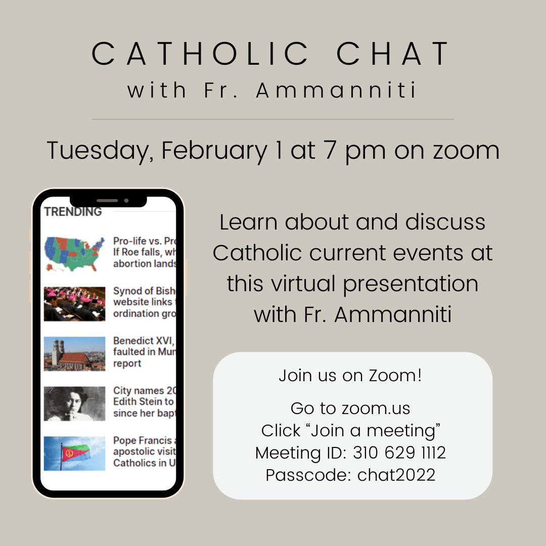 Catholic Chat with Fr. Ammanniti Covers Current Catholic News – Divine ...